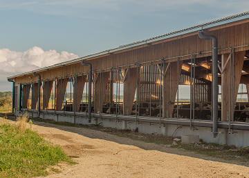 Bâtiment et environnement - Popcorn Formation